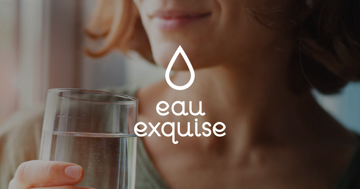 Aromatisant La Gourmande Stevia : Alternative saine aux sodas – eau-exquise